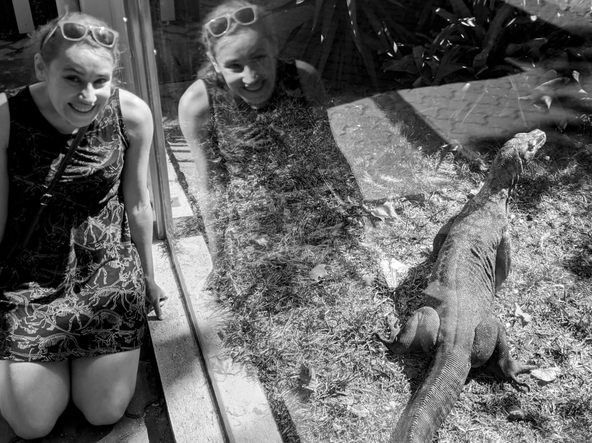 ABOUT - Expert Web Services